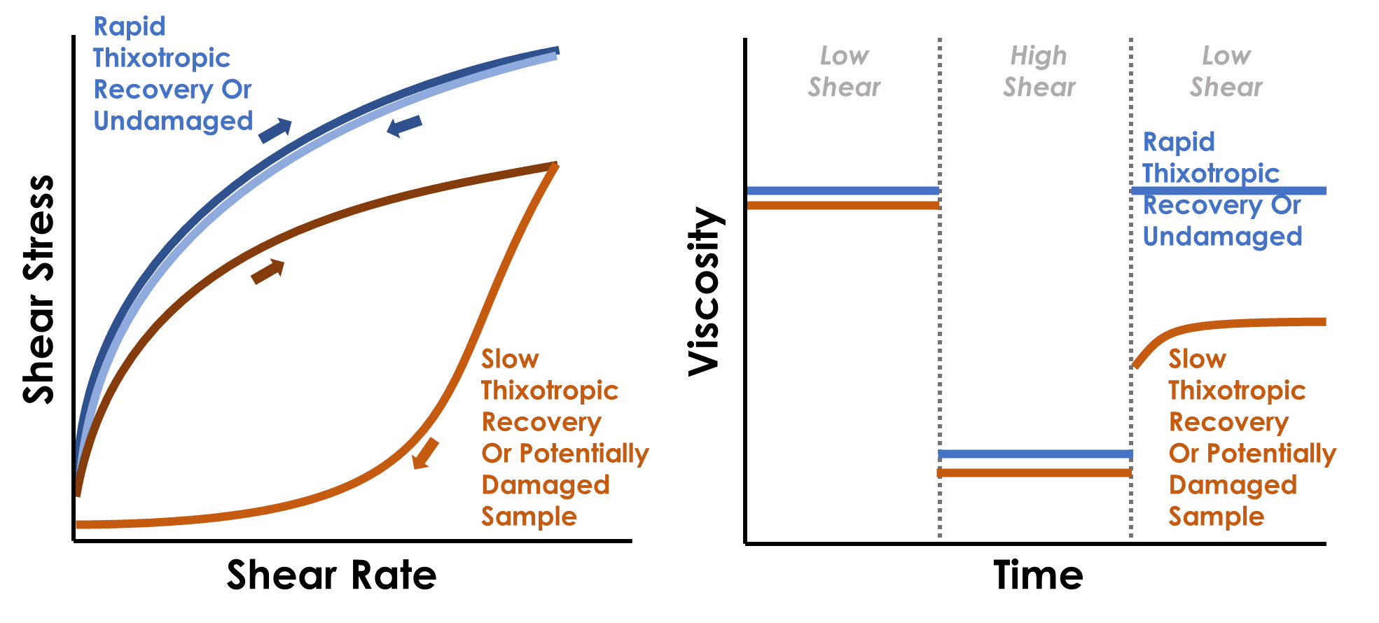 Rheology of Thermosensitive Injectable Polymer Hydrogels - Rheology Lab