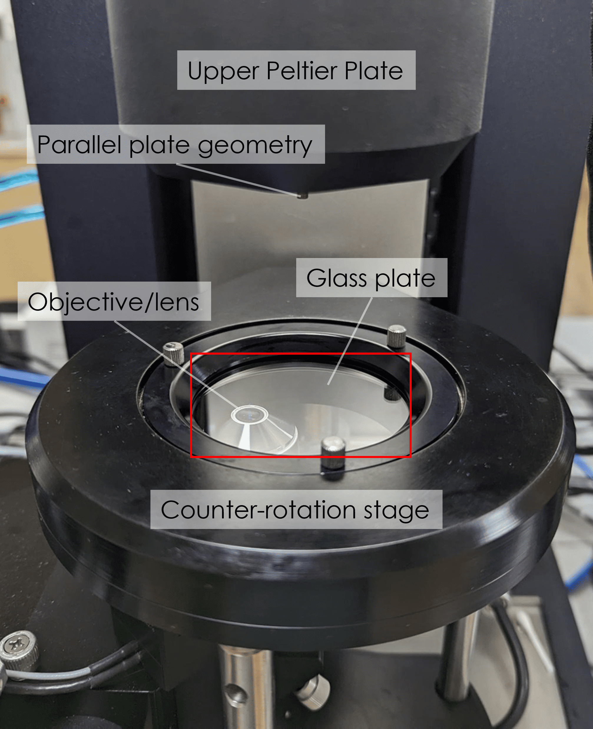 Rheo-Microscopy: Simultaneous Rheology and Imaging - Rheology Lab