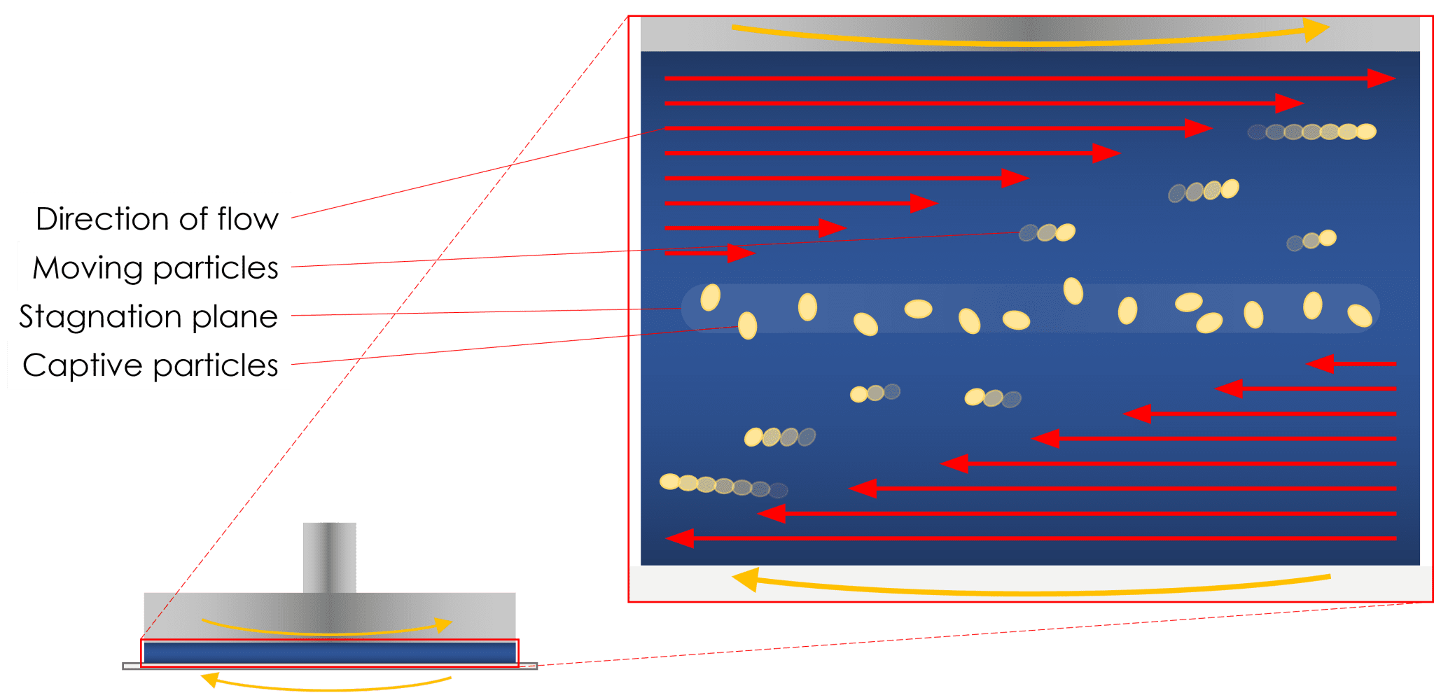 Rheo-Microscopy: Simultaneous Rheology and Imaging - Rheology Lab